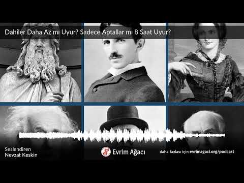 Dahiler Daha Az mı Uyur? Sadece Aptallar mı 8 Saat Uyur?