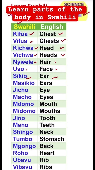 Learn parts of the body in Swahili. #learnswahili #language #english # ...