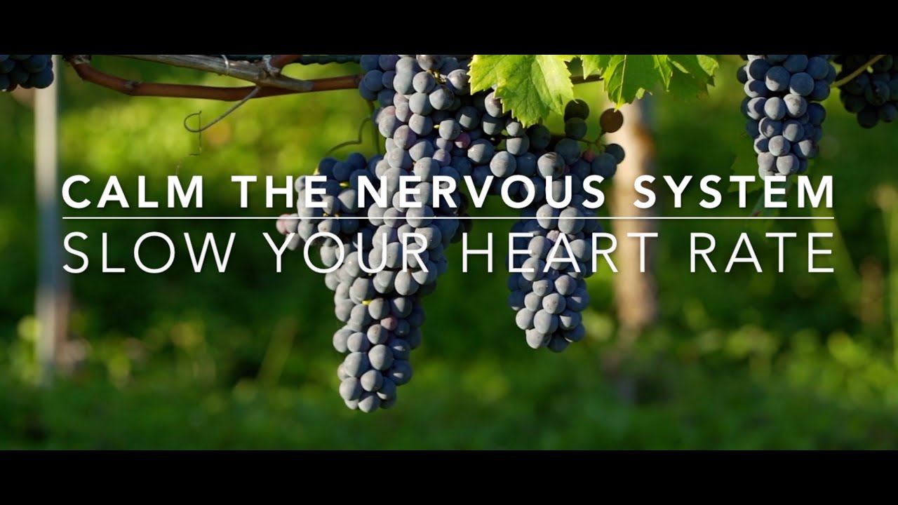 Calm the Nervous System 🔆 Slow the Heart Rate | Get out of fight or ...