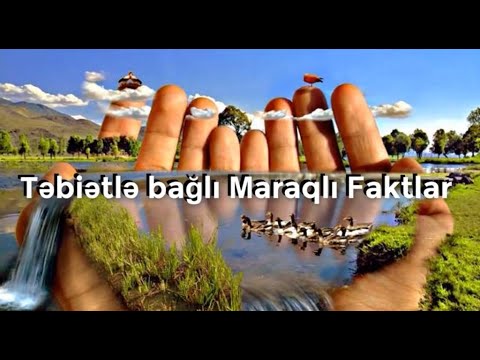 Təbiətlə bağlı maraqlı faktlar