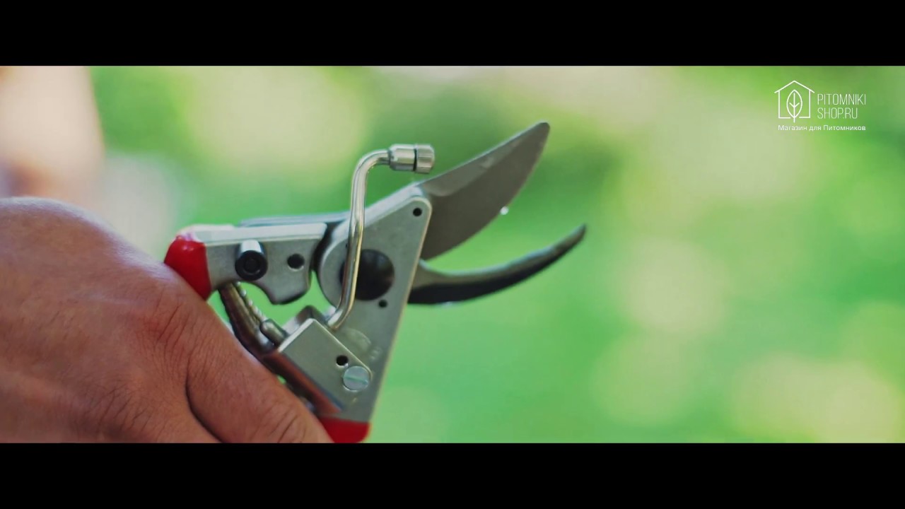 Секатор Фелко 19 (Felco 19) - YouTube