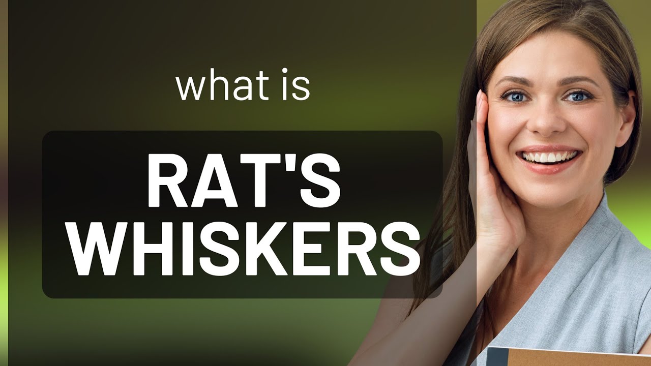 Understanding the Phrase "Rat's Whiskers": An English Language Lesson ...