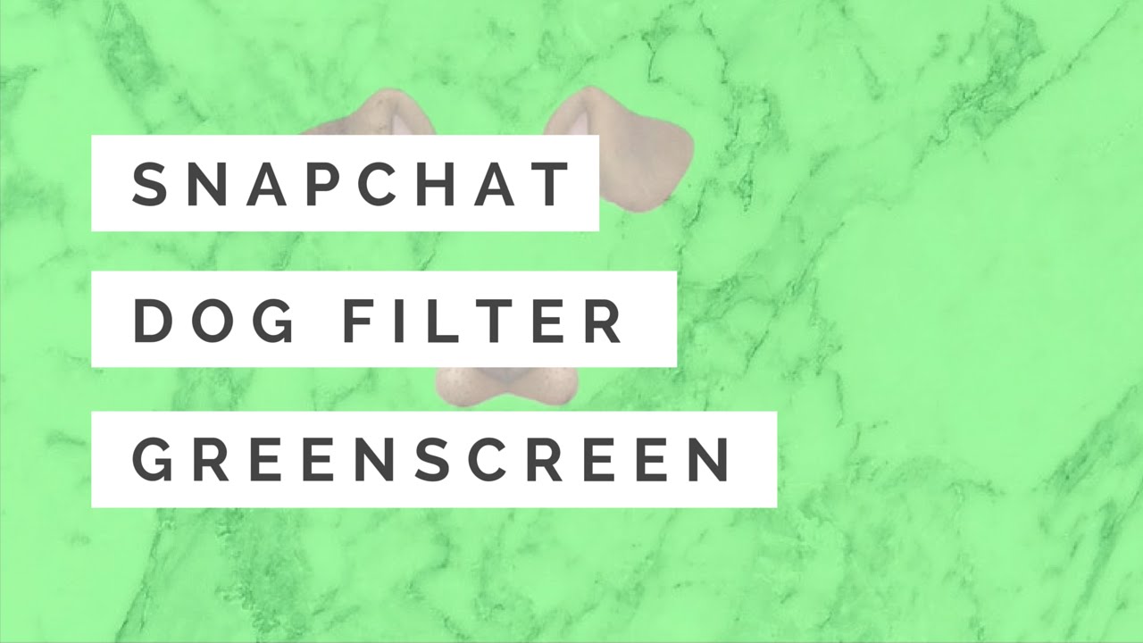 Snapchat Dog Filter GreenScreen - YouTube