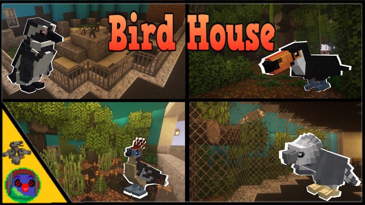 Birds of South America | Bird House Minecraft | Part 2 - YouTube