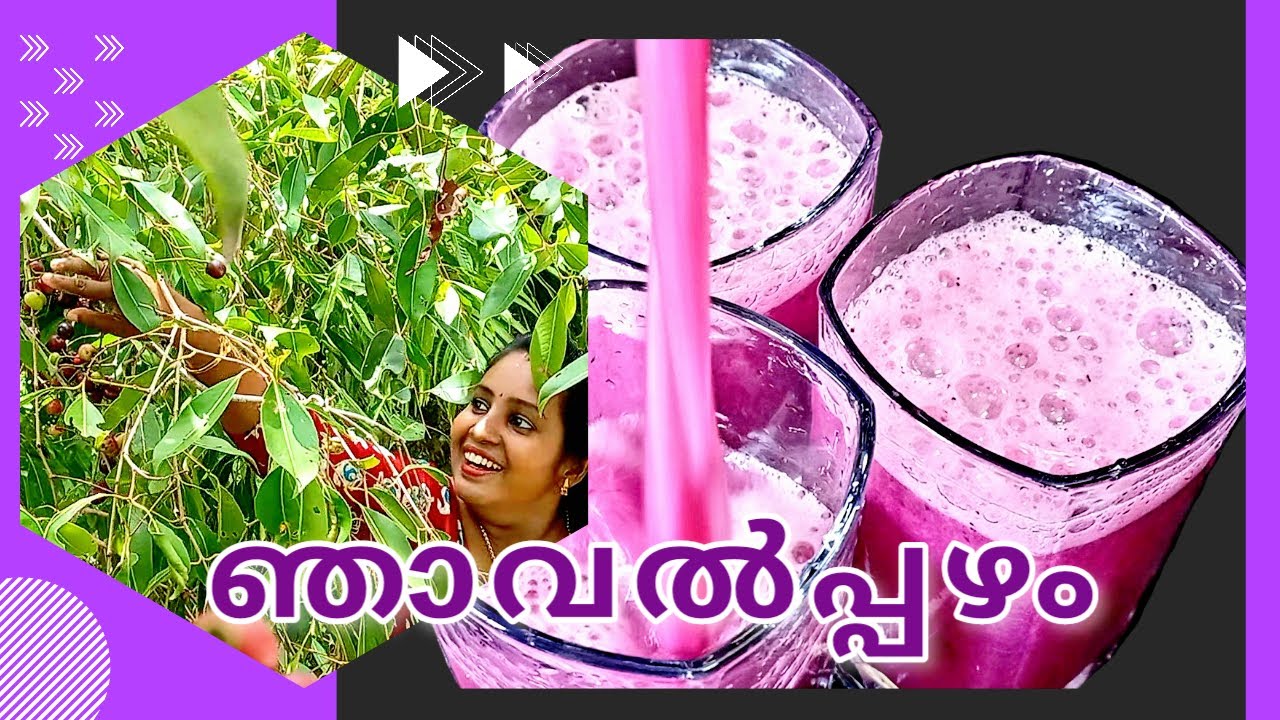 ഞാവൽപ്പഴം പറിച്ച് ജൂസ് ഉണ്ടാക്കാം | Java Plum Juice | Black Plum Recipe ...