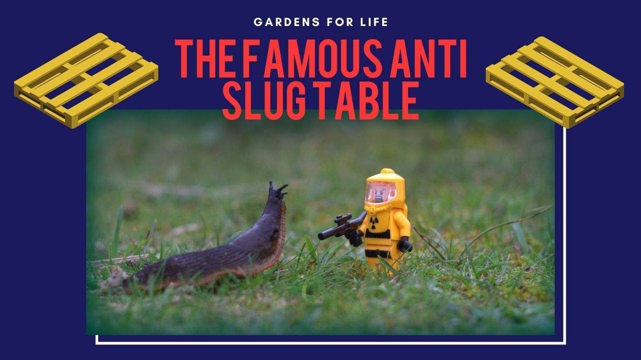The famous Anti Slug Table - YouTube