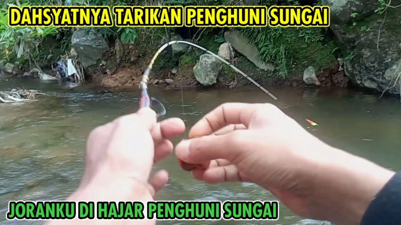 Mancing Ikan Di Sungai Mengunakan Joran Fiber Lentur - YouTube