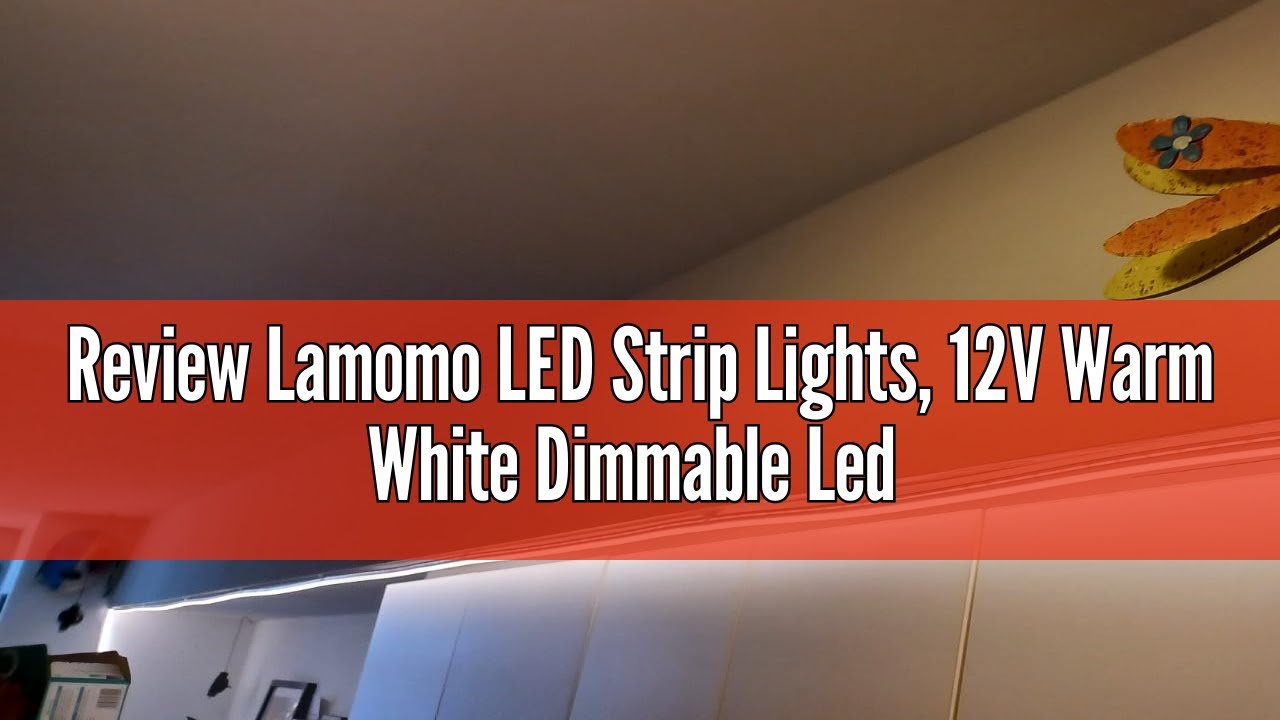 Review Lamomo LED Strip Lights, 12V Warm White Dimmable Led Light ...
