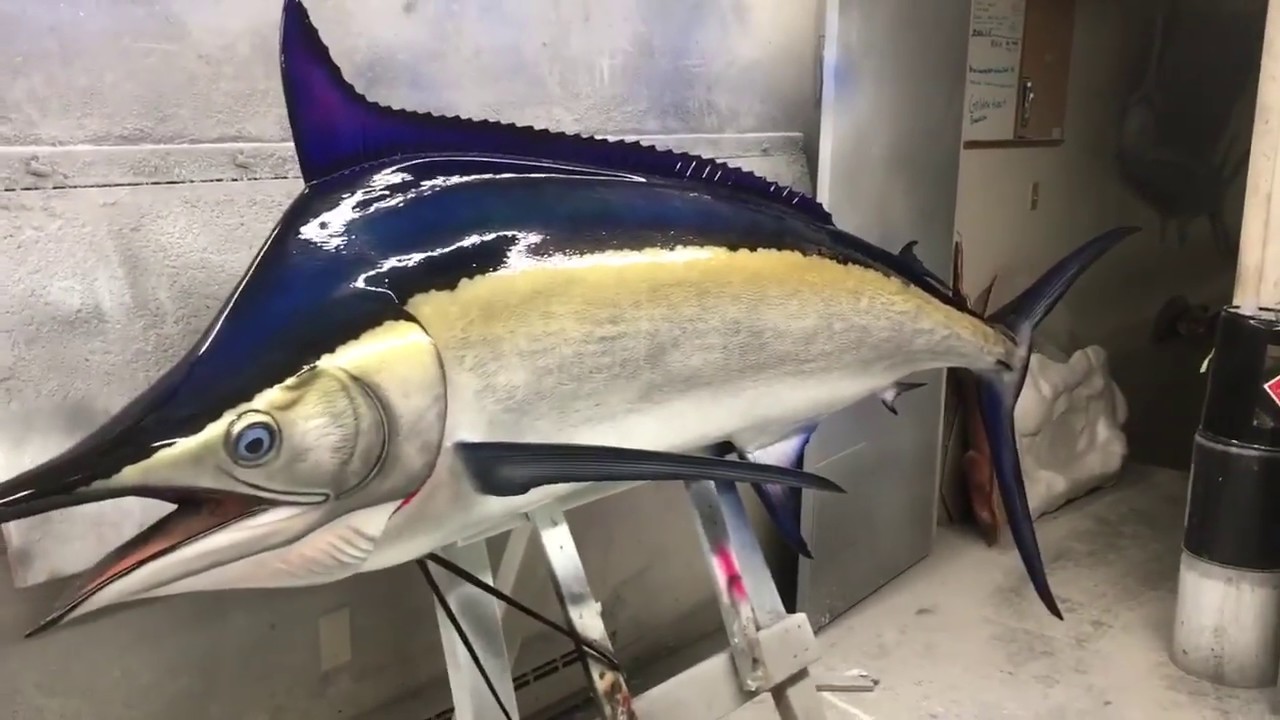 Black Marlin Fish Mount Replica by Coast to Coast Fish Mounts - YouTube