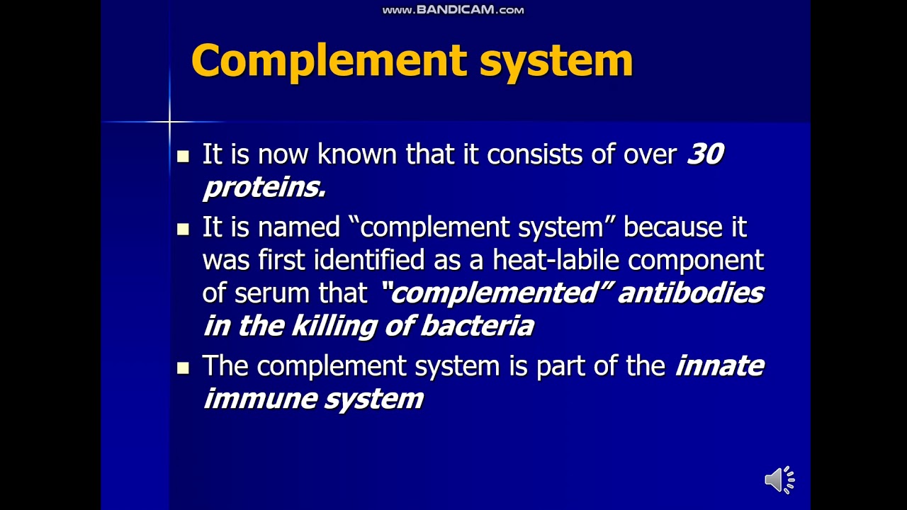 Complement system 1 - YouTube