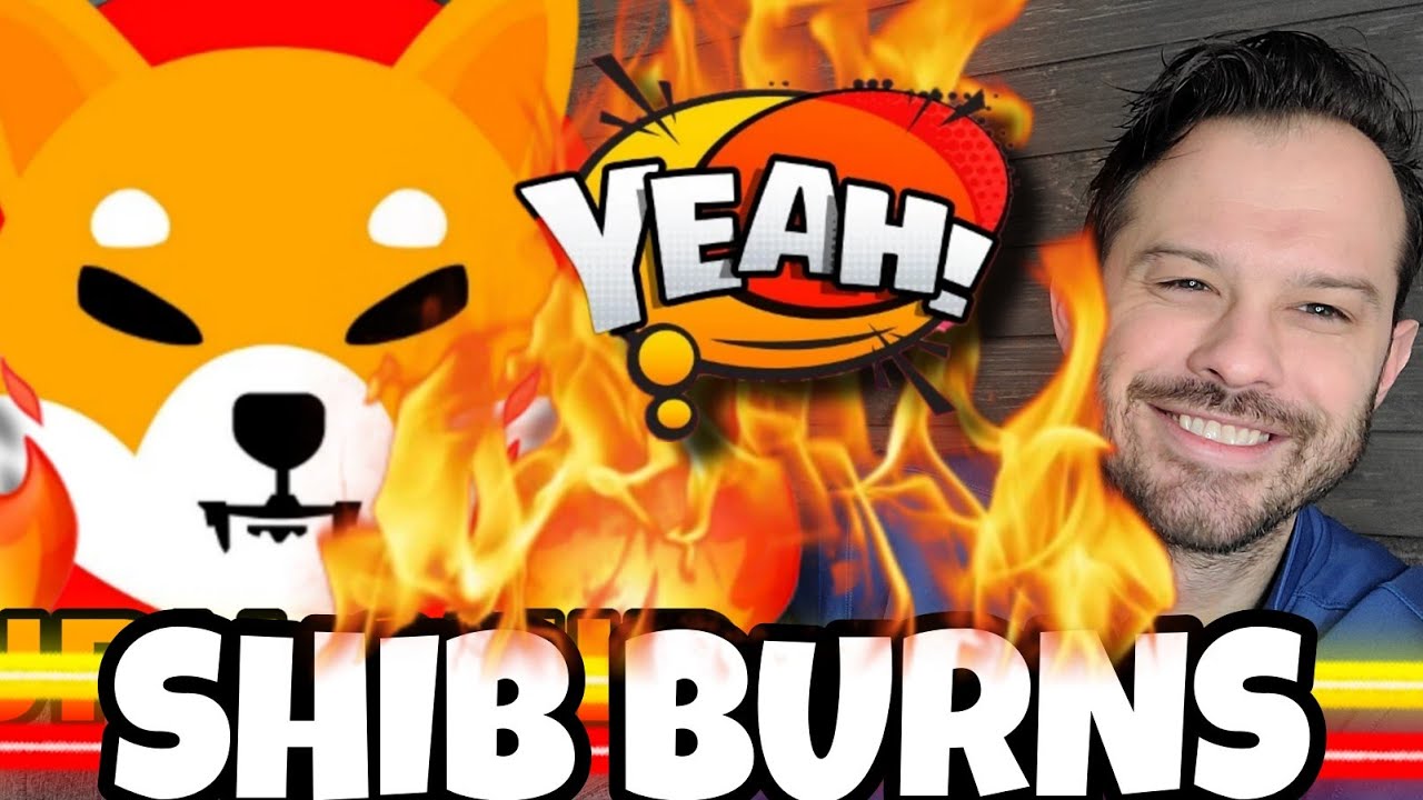 Shiba Inu Coin | SHIB Burns Are Rising Along With The Price Of SHIB ...