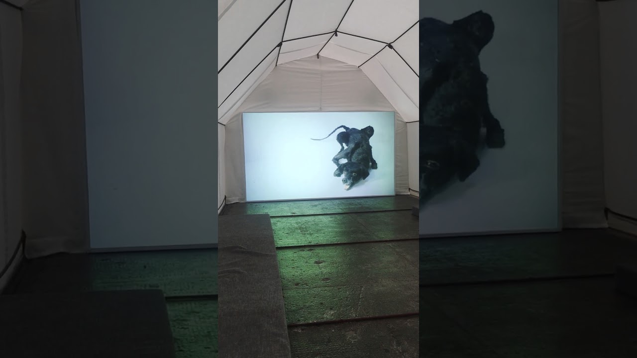 Stuart Middleton Beat Exhibition - YouTube