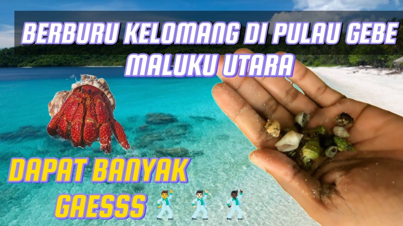 MENCARI KELOMANG DARAT DI PANTAI HOL PULAU GEBE#kelomangbekasi # ...