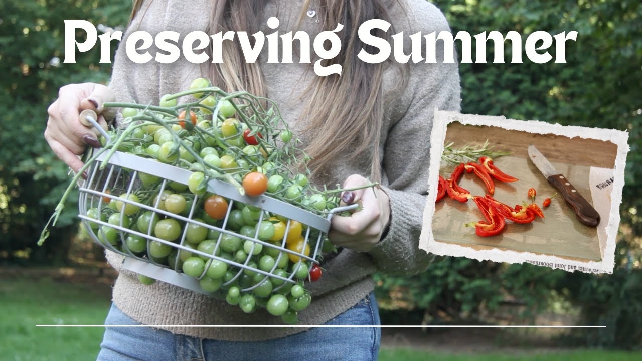 The Ultimate Guide to Dehydrating: 2-Year Shelf Life! - YouTube