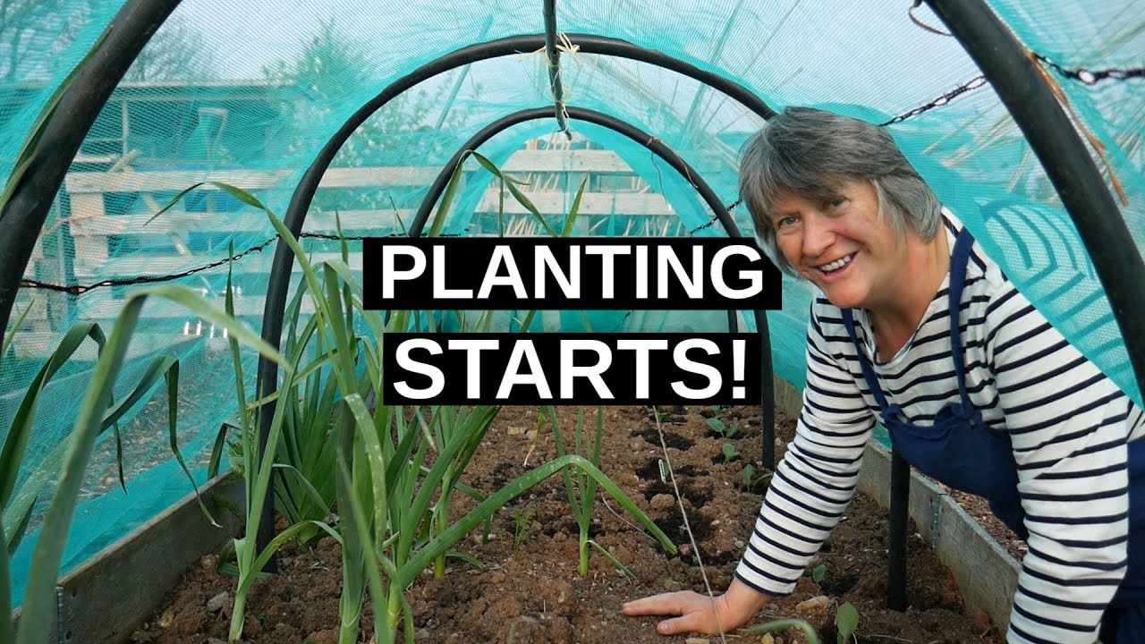 Garden Vlog Update (Early Spring 2019) - YouTube