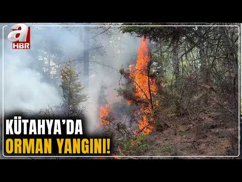 Kütahya'da Orman Yangını! | A Haber