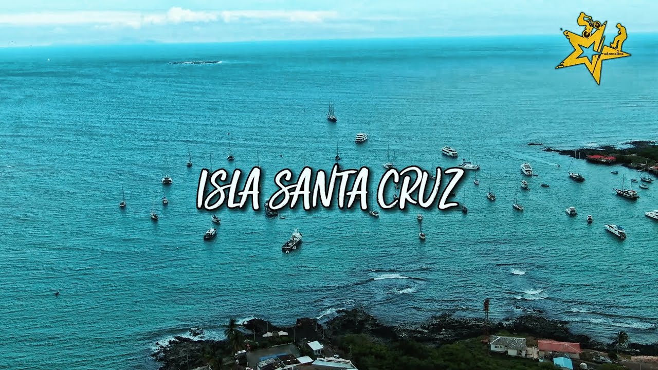GALAPAGOS 2023 Isla Santa Cruz - YouTube