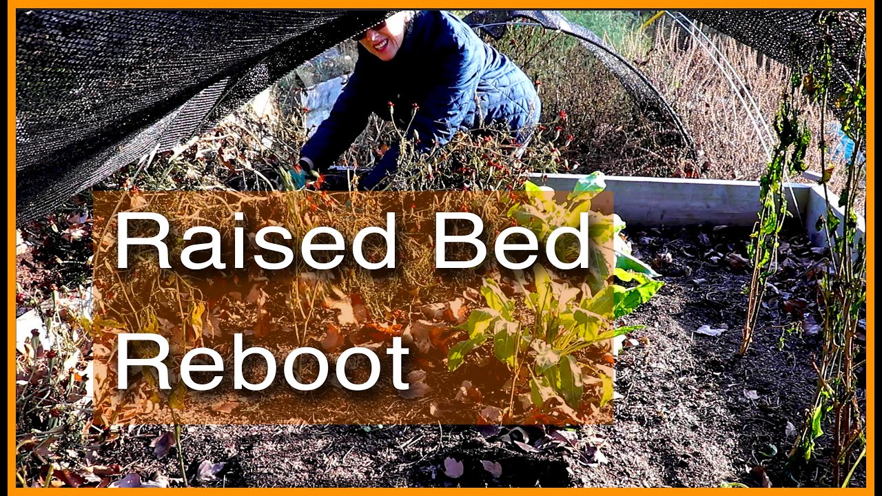 Raised Bed Redo | 5 Things TO REBOOT SOIL - YouTube