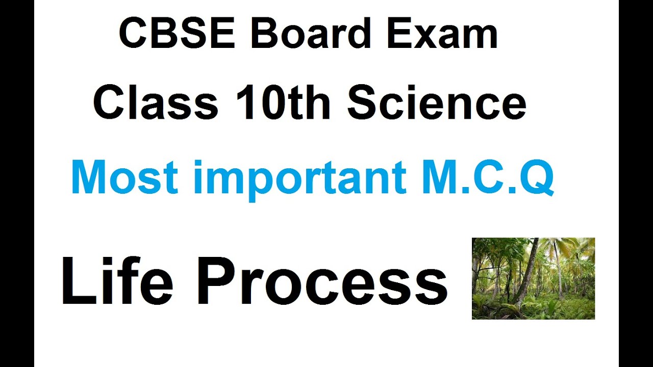 Life Process MCQ - chapter 6 - science class 10 - CBSE board exam - YouTube