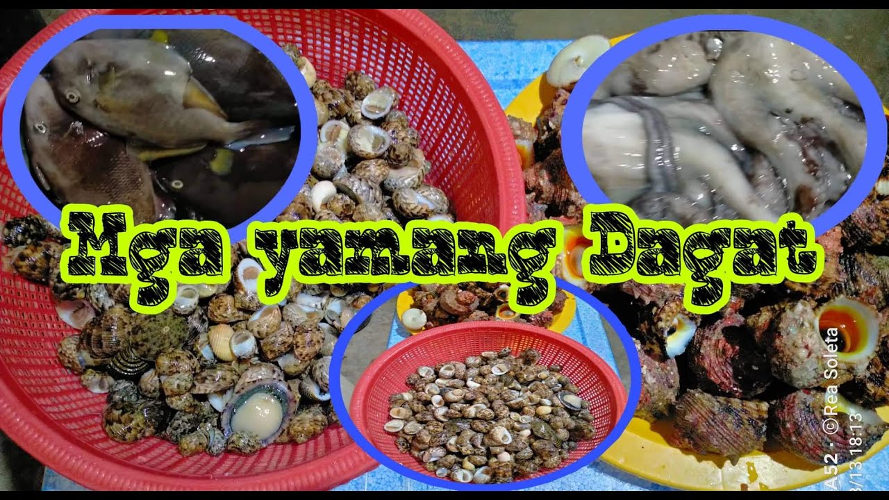 mga Lamang dagat|cno nkatikim ka na ba ng mga ganitong lamang dagat ...