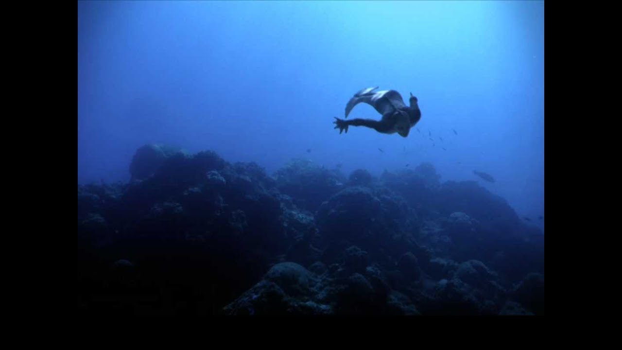 Mermaids caught on camera - YouTube