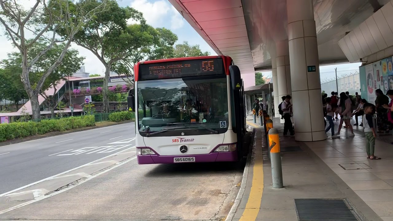 SBS Transit Mercedes-Benz O530 Citaro (Batch 1) SBS6016S on Service 55 ...