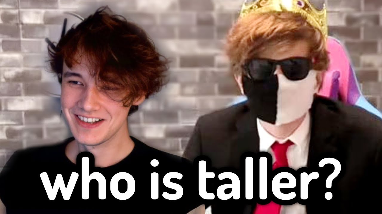 ranboo confirms if he is taller than wilbur or not - YouTube