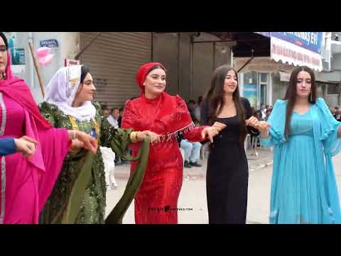 NURİ BOTAN - 2025 - ADANA ( BAYNA AİLESİ ) - (Muhammed & Aleyna ) Düğünü New Video !!!
