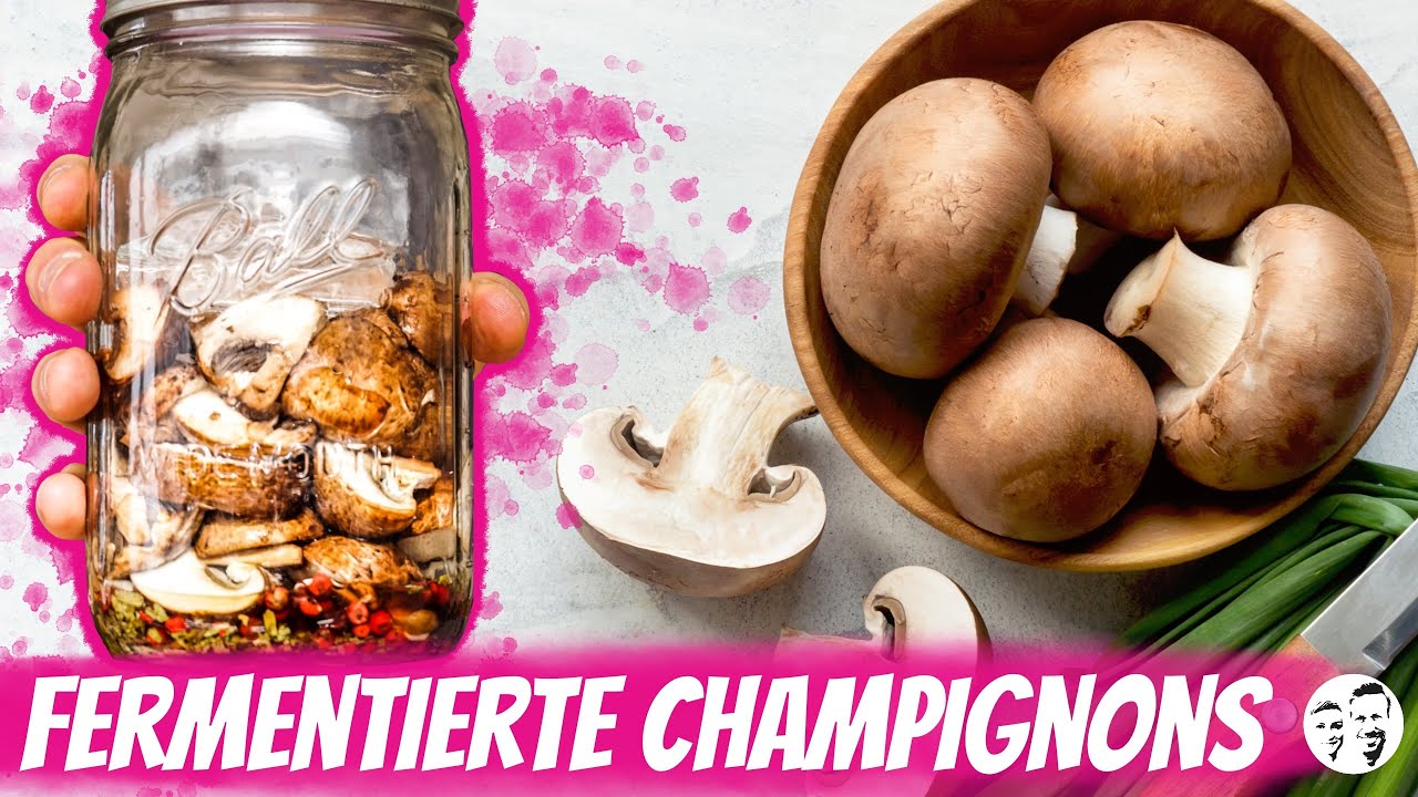 Fermentierte Champignons - So kennst du den Pilz noch nicht! - YouTube