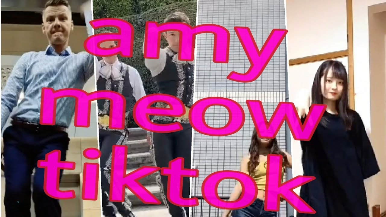 amy meow tiktok - YouTube