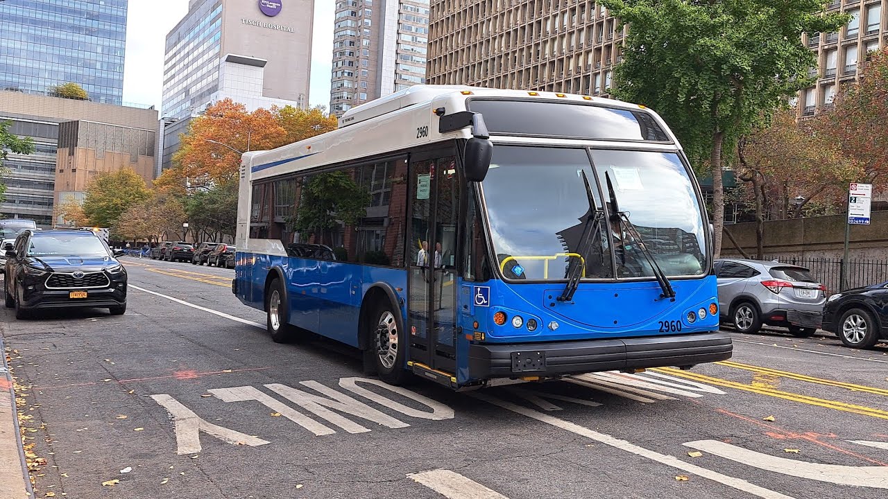 Academy Bus 2024 Eldorado E Z Rider II BRT 32 2960 On NYU s Park Av academy-bus-2024-eldorado-e-z-rider-ii-brt-32-2960-on-nyu-s-park-av