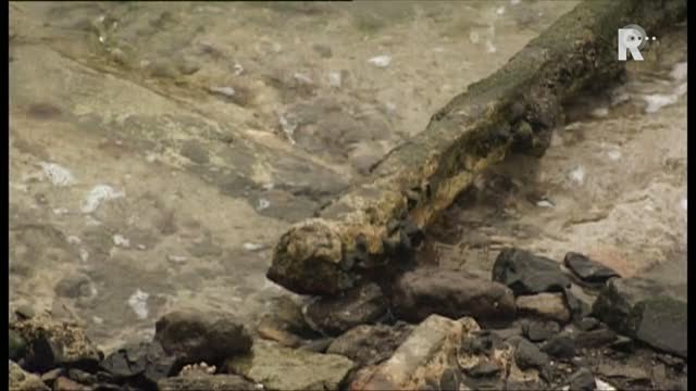 Rotterdammers van Formaat - Djunga de Biluca - YouTube