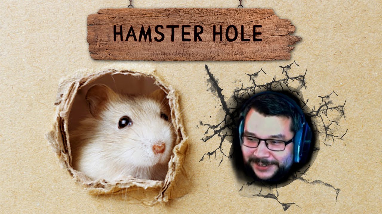 Hamster Hole#1 - Хомячья нора#1 [Нарезка XomyaceK за Сентябрь] - YouTube