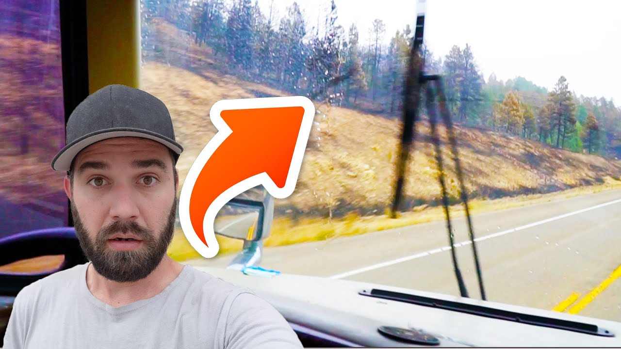driving through the aftermath of a forest fire.... - YouTube