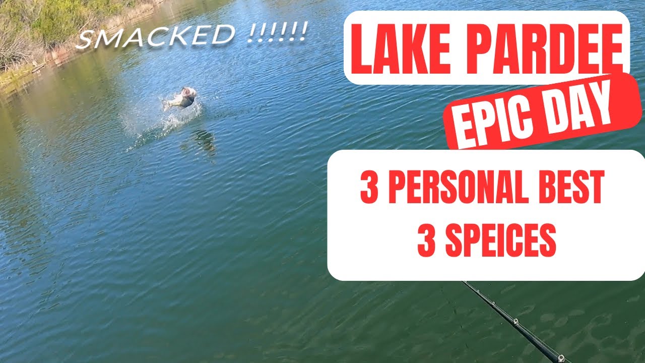 LAKE PARDEE kayak bass fishing 3 personal best 3 species - YouTube
