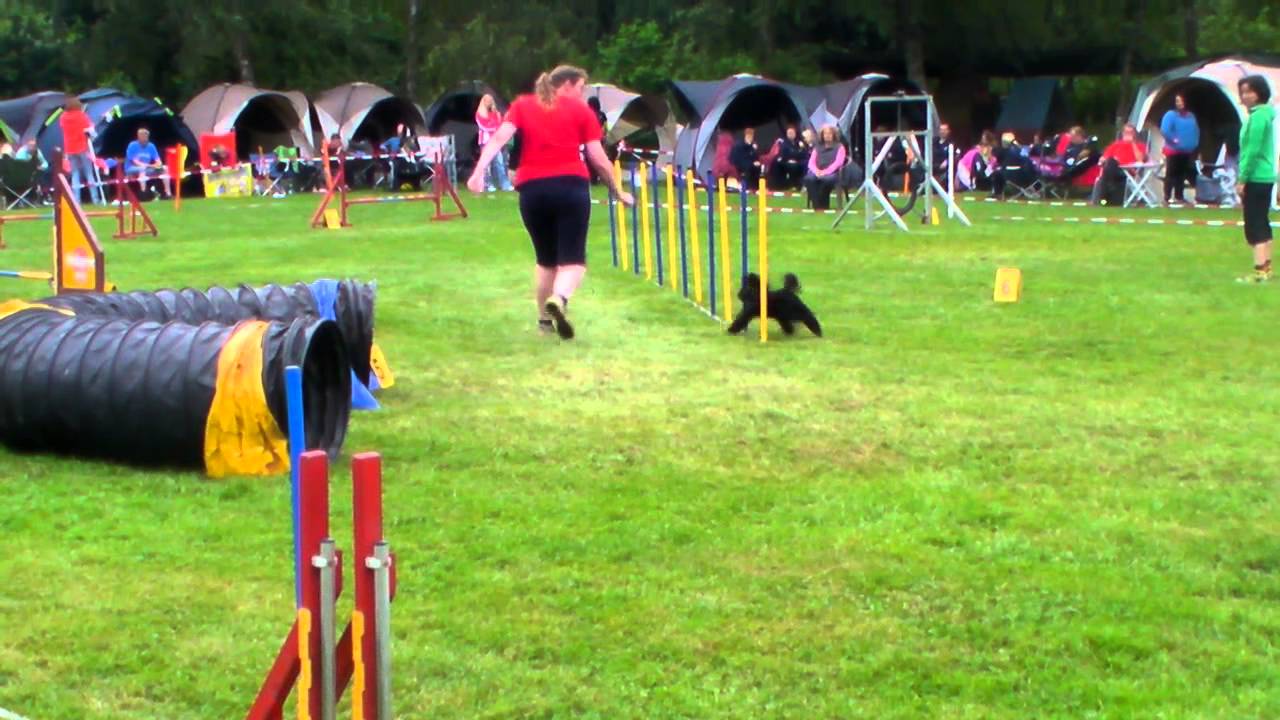 coco jumping - YouTube
