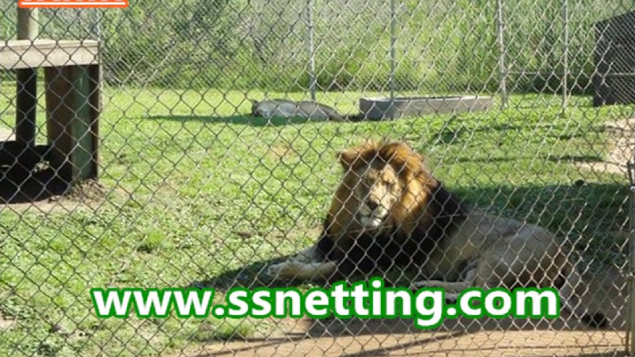 lion fence mesh, lion enclosure netting, lion cage fence- ssnetting.com ...
