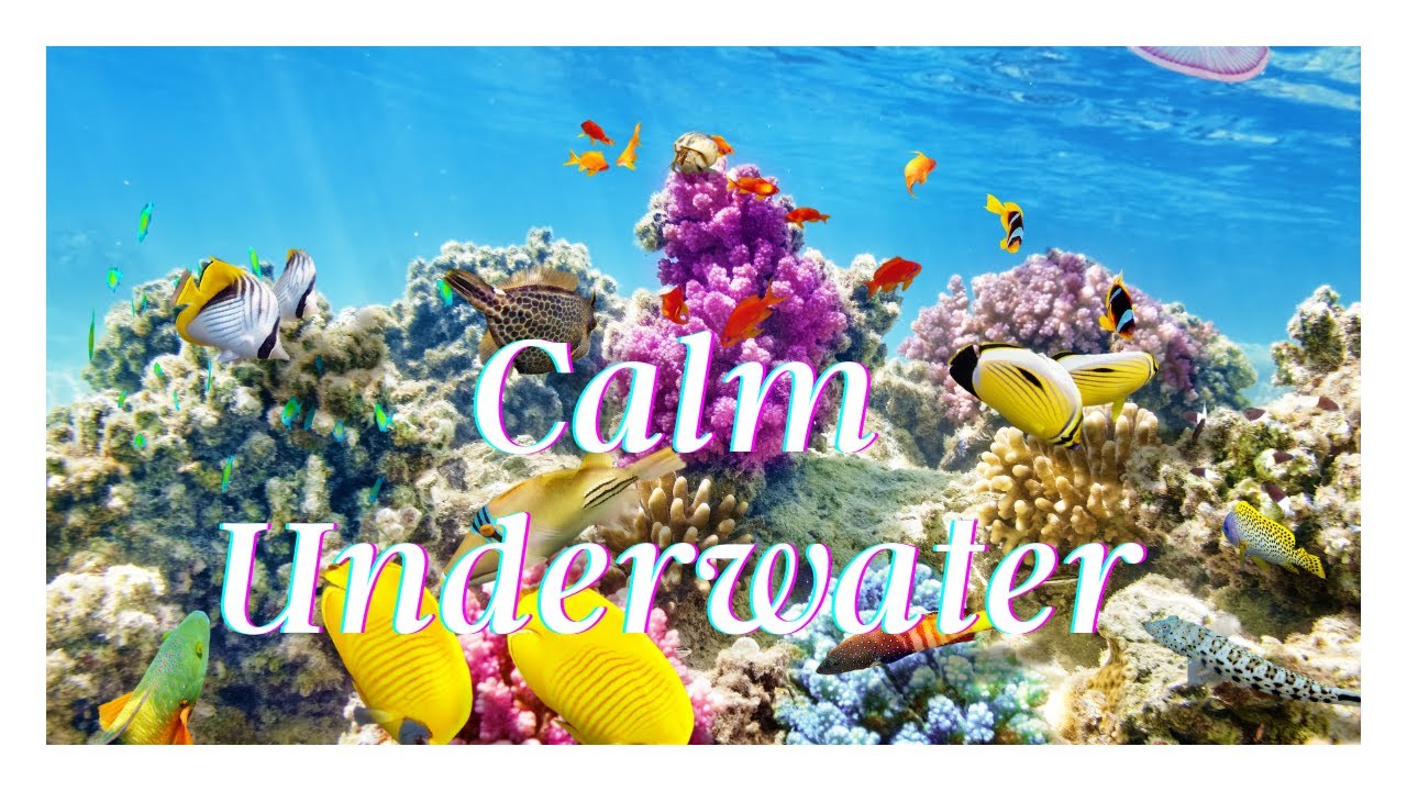 2 hours Underwater Coral Reef, Relaxing Music , Calming music, Sea Life ...