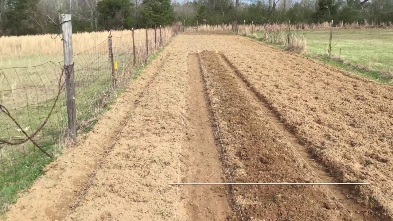 Beginning Bed Layout in Garden Plot 2 - YouTube