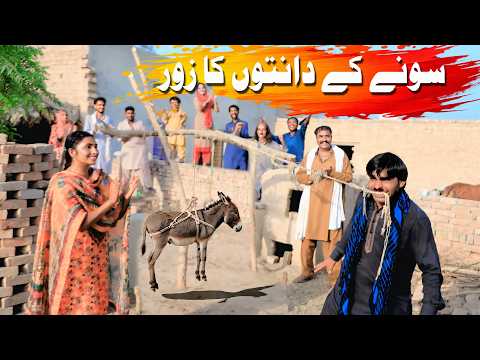 #comedy  Bhootna Shoki, Sanam , Bilo , Malangi &  Muskan , Nomi , New Funny Video By Rachnavi Tv2