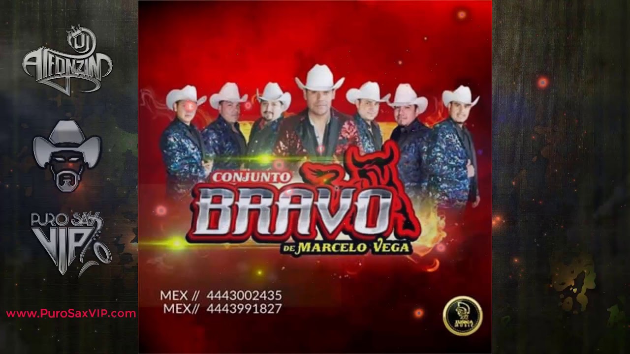 Conjunto Bravo de Marcelo Vega - Huapango la Jacarandosa / 2019 - YouTube