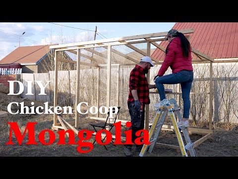 Framing The Most Practical DIY Chicken Coop in Mongolia
