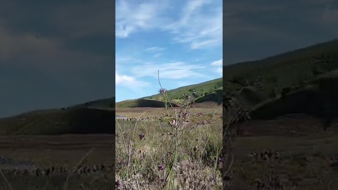 Naik Gunung Bromo adalah cara muncak gunung paling gampang #shorts ...