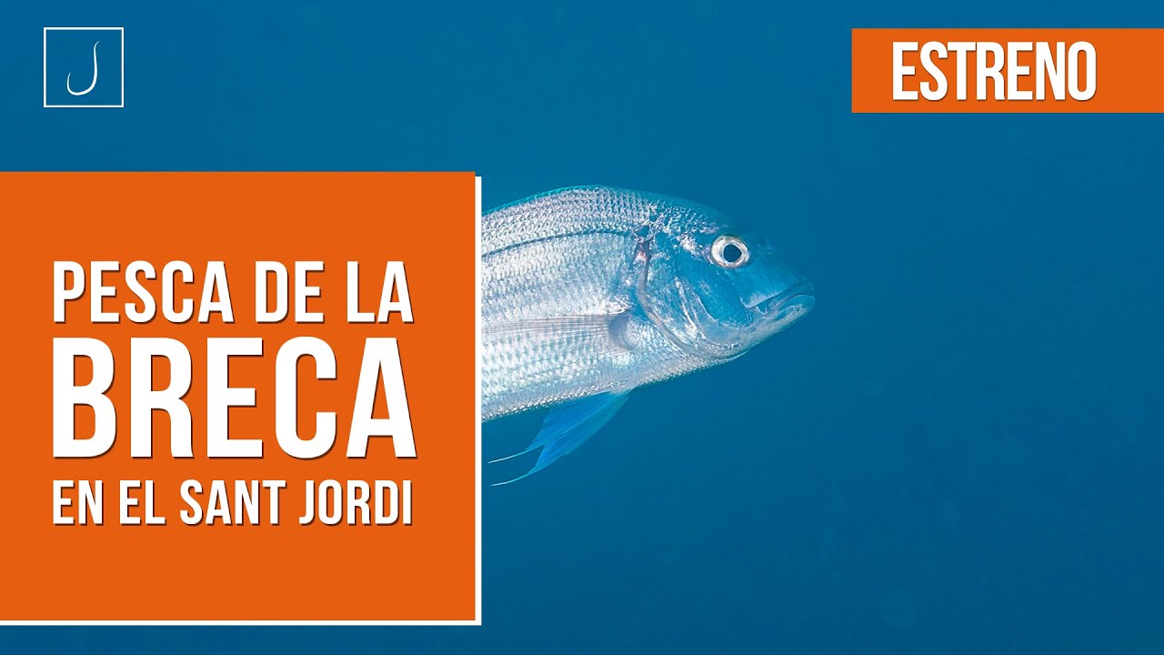 Pesca de la breca en el Sant Jordi | Iberalia GO! - YouTube