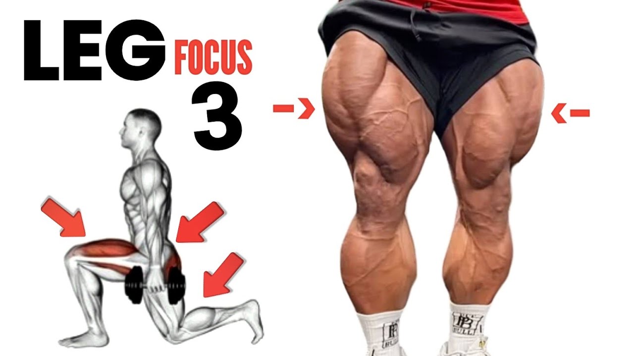 Best Legs Exercises To Build Big Leg Muscle | Leg Workout with Bar ...