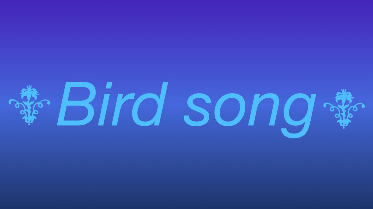The Bird song - YouTube