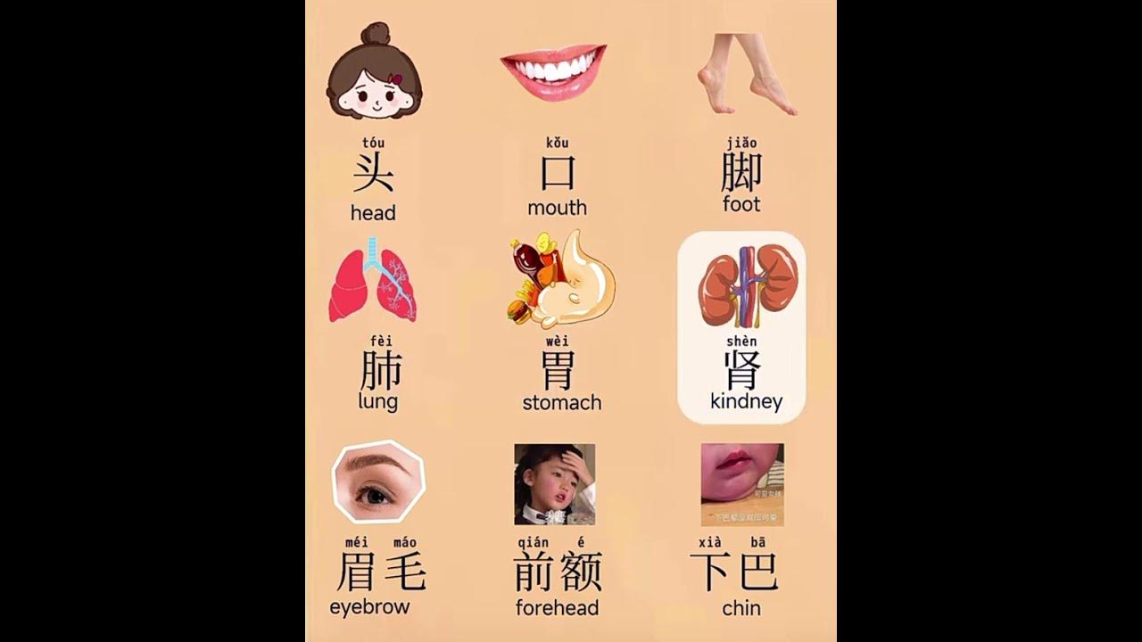 Learn Chinese daily words mouth 口head 头 - YouTube