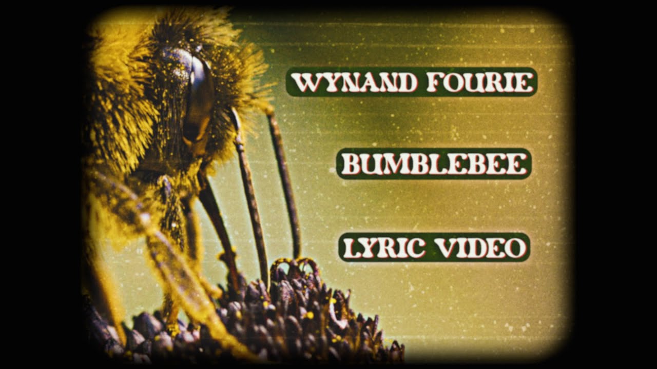 Wynand Fourie - Bumblebee (Official Lyric Video) - YouTube