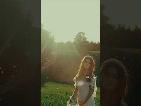 Birdə gəlməyəcək sənin tək qadın.....🌹❤️         #status #keşfet #trend #ytshorts #shortvideo