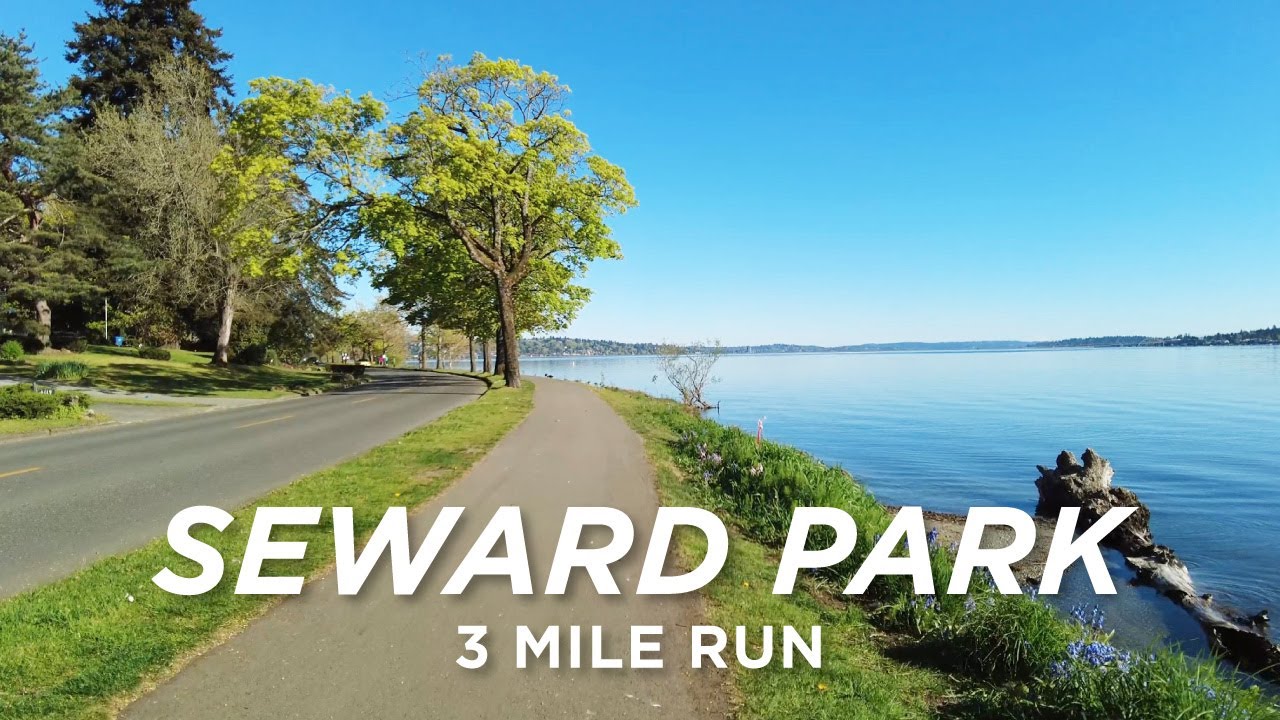 Seward Park in Seattle 3 Mille Virtual Run (4K) - YouTube